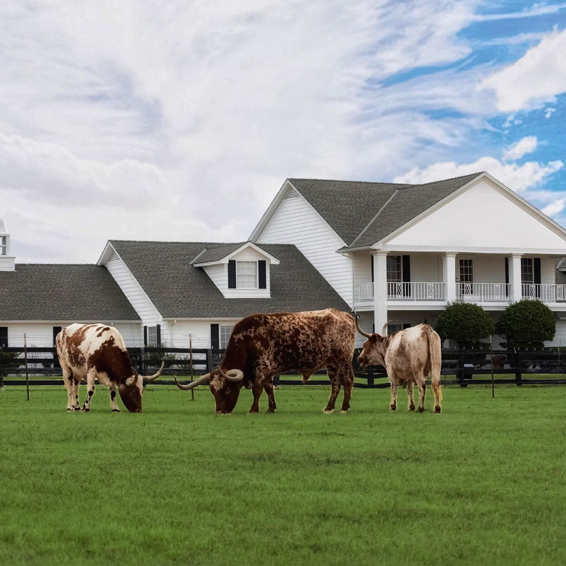 Southfork Ranch